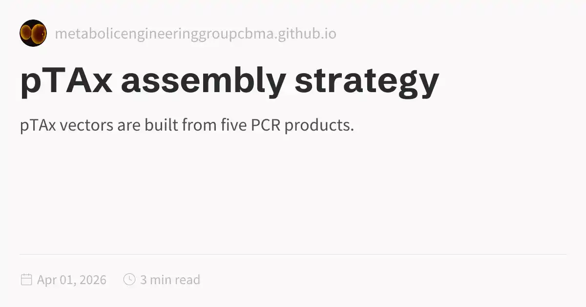 pTAx assembly strategy