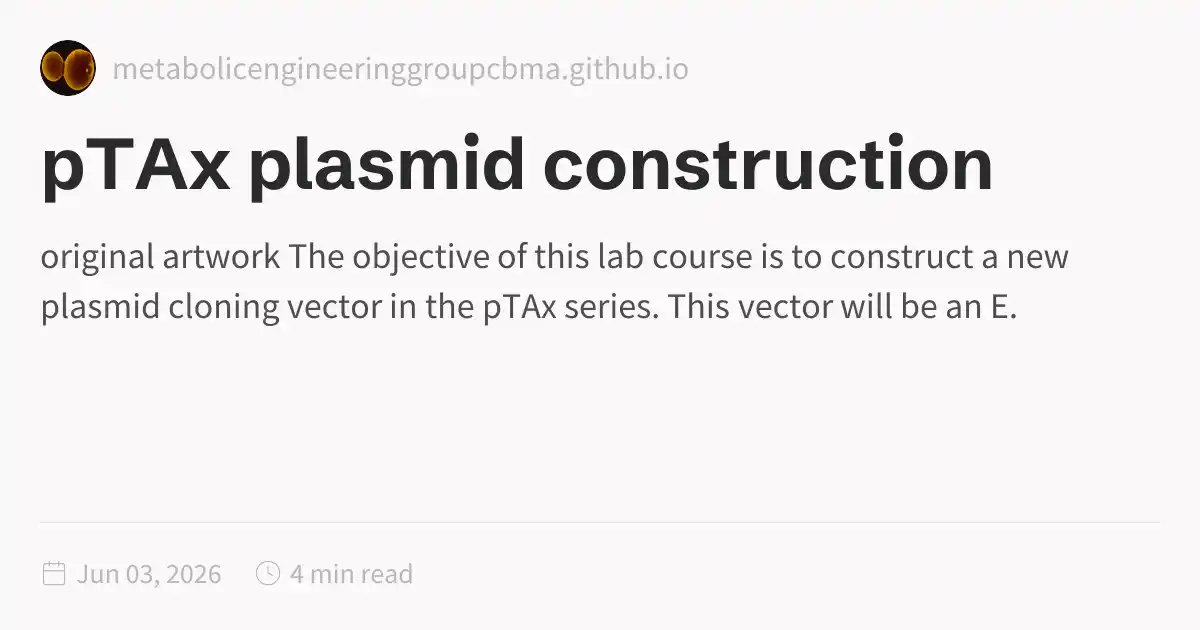 pTAx plasmid construction